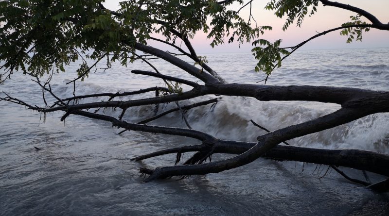 Gallery – Duttona Family Campground